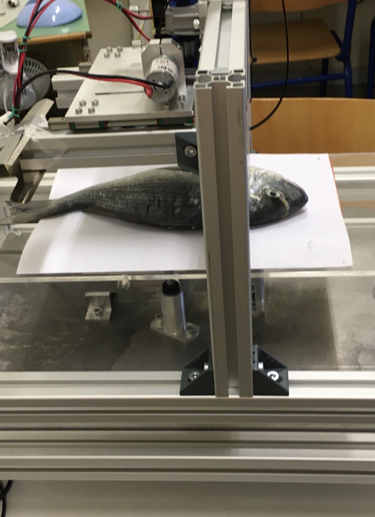 Rapid evaluation of fish texture via system identification and ...